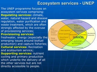 Lecture 2 -Ecosystems structure and functioning.ppt