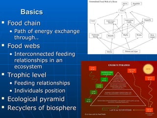 Lecture 2 -Ecosystems structure and functioning.ppt