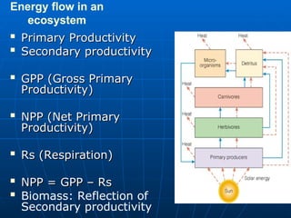 Lecture 2 -Ecosystems structure and functioning.ppt