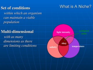 Lecture 2 -Ecosystems structure and functioning.ppt