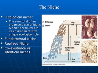 Lecture 2 -Ecosystems structure and functioning.ppt