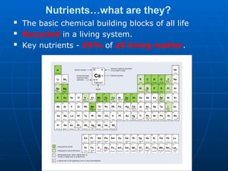 Lecture 2 -Ecosystems structure and functioning.ppt