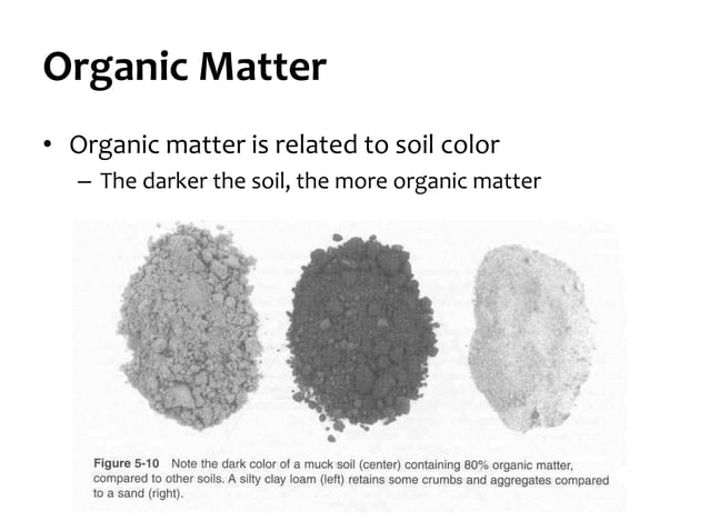 Lecture 2. edaphic factors | PPT