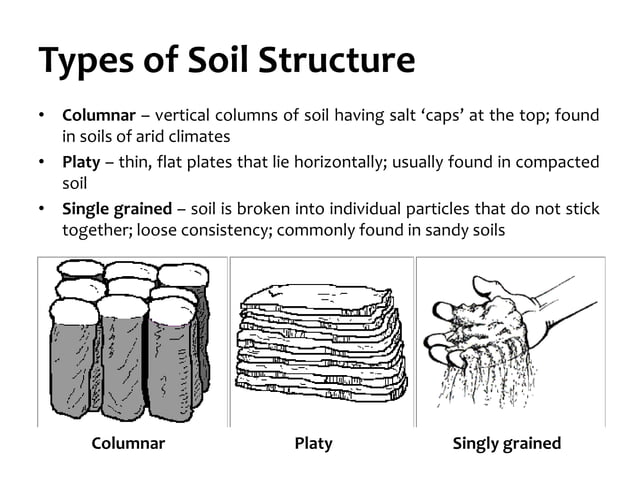Lecture 2. edaphic factors | PPT