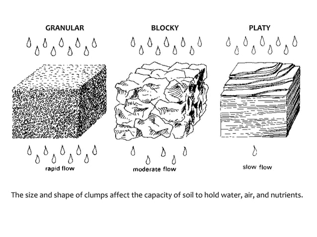 Lecture 2. edaphic factors | PPT