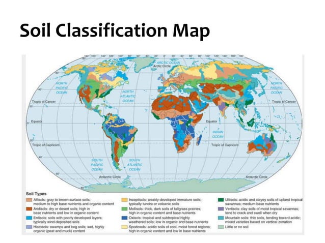 Lecture 2. edaphic factors | PPT