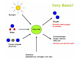 Lecture 2 energy & relationships | PPT