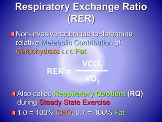Lecture 2 exercise metabolism | PPTX