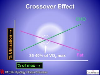Lecture 2 exercise metabolism | PPTX