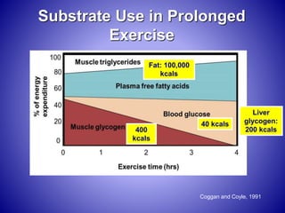 Lecture 2 exercise metabolism | PPTX