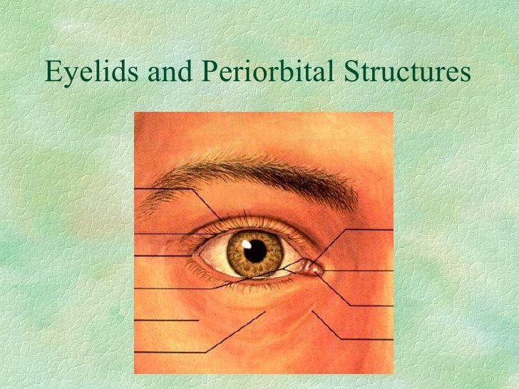 Lecture2 eyelid,orbit,lacrimal