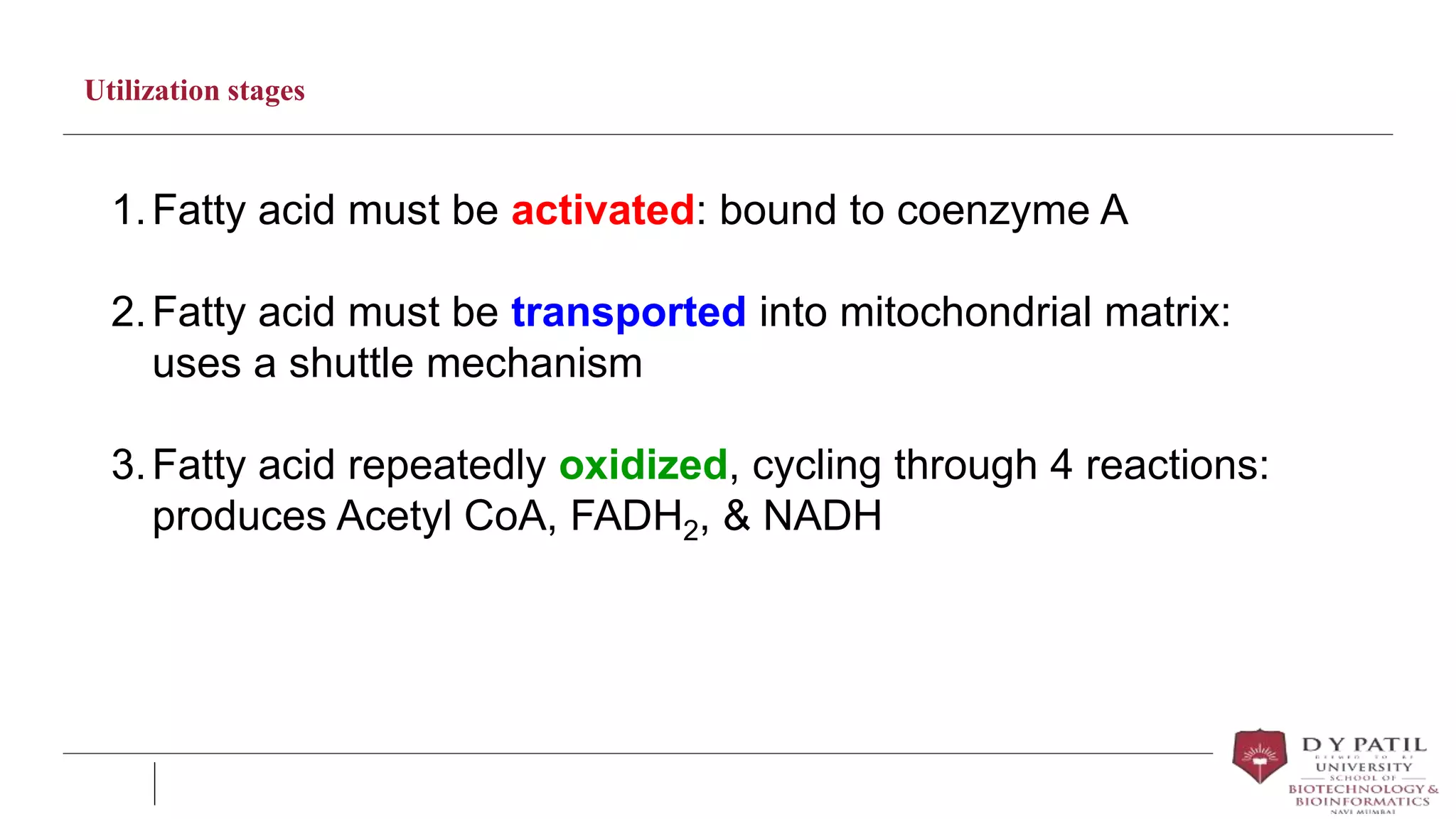Lecture 2- Fatty acid activation and carnitine shuttle.pptx