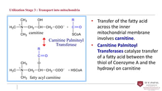 Lecture 2- Fatty acid activation and carnitine shuttle.pptx