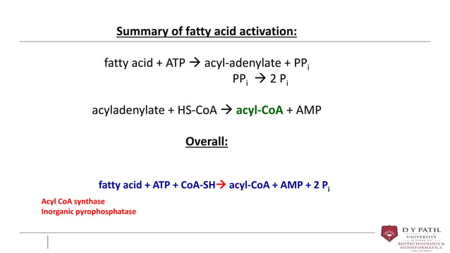 Lecture 2- Fatty acid activation and carnitine shuttle.pptx