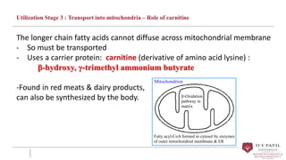 Lecture 2- Fatty acid activation and carnitine shuttle.pptx