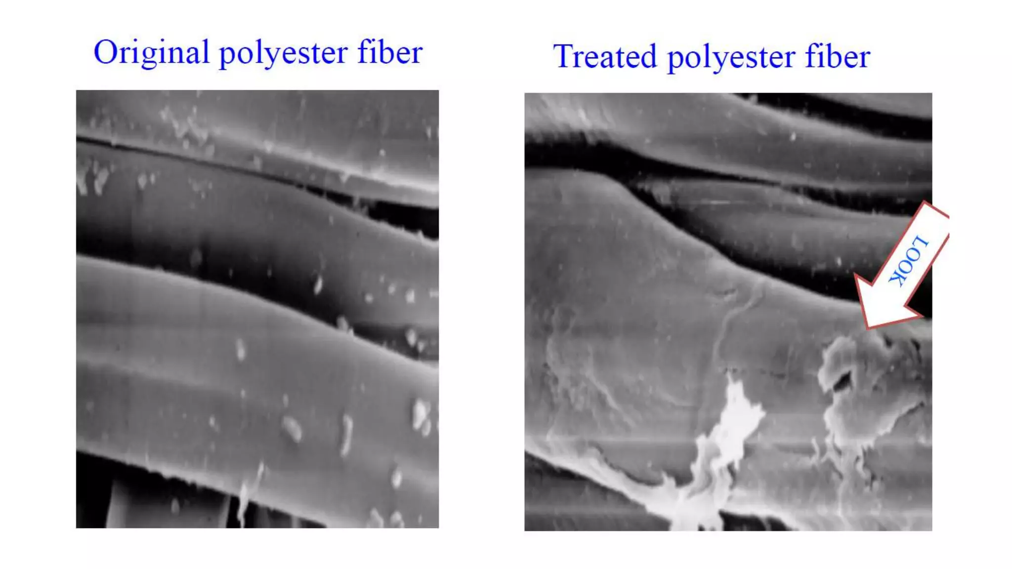 lecture 2 - Fiber modification and Dyeability.pptx