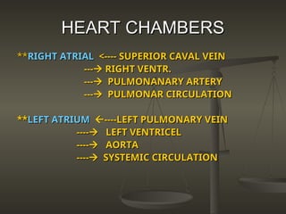 Lecture about Histologi Cardiovaskular.ppt