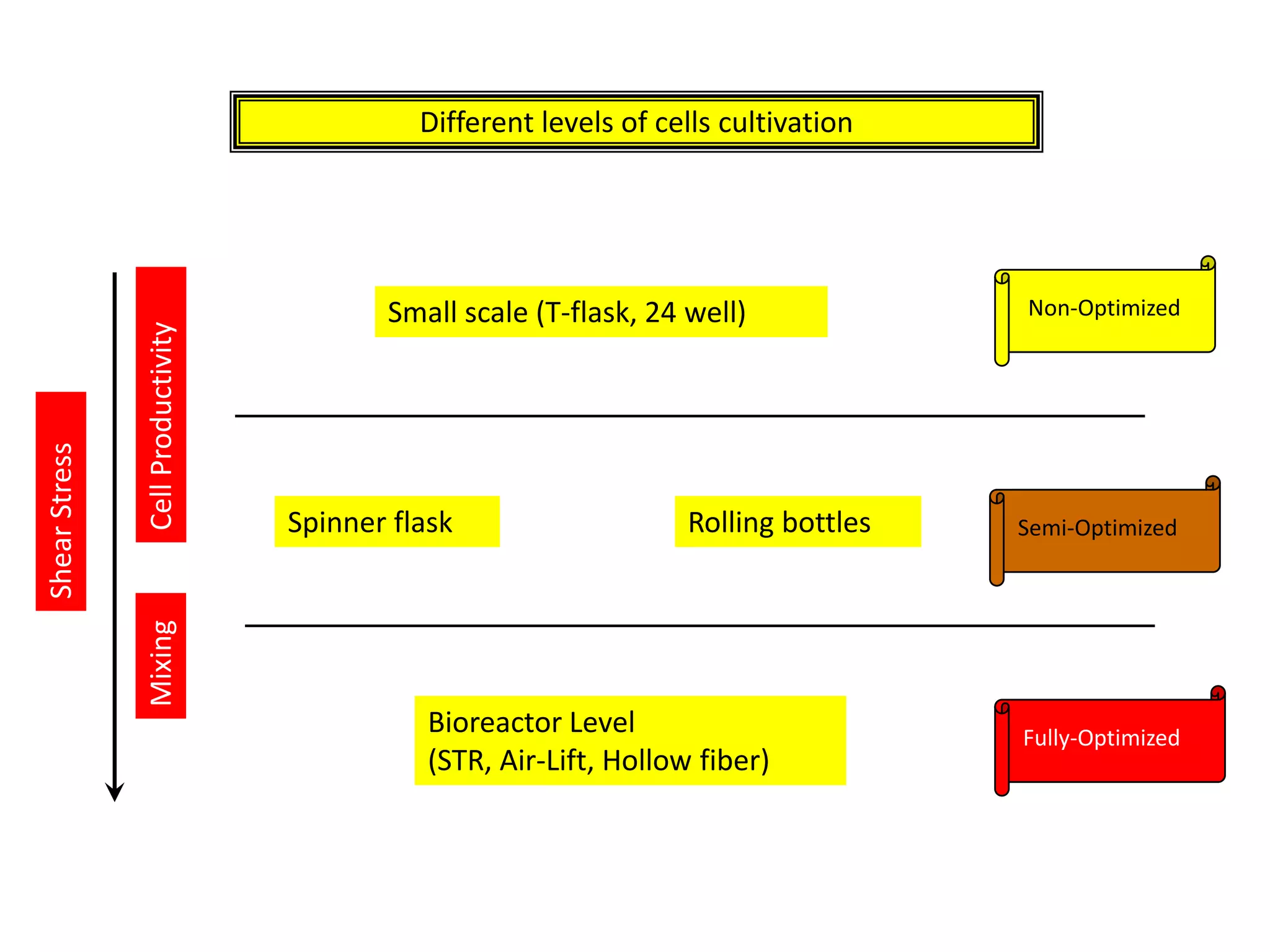 Lecture 2 introduction to bioprocess | PPTX