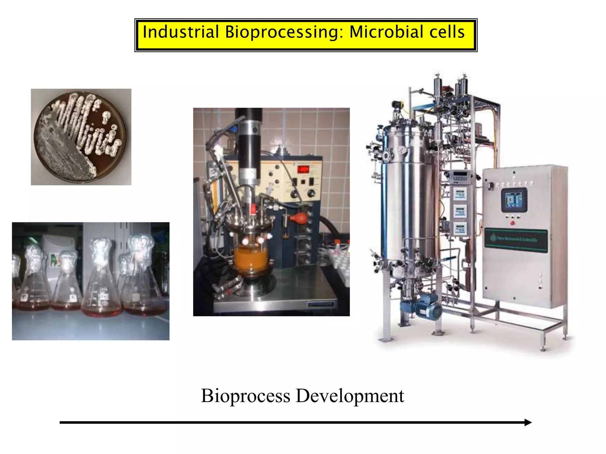 Lecture 2 introduction to bioprocess | PPTX