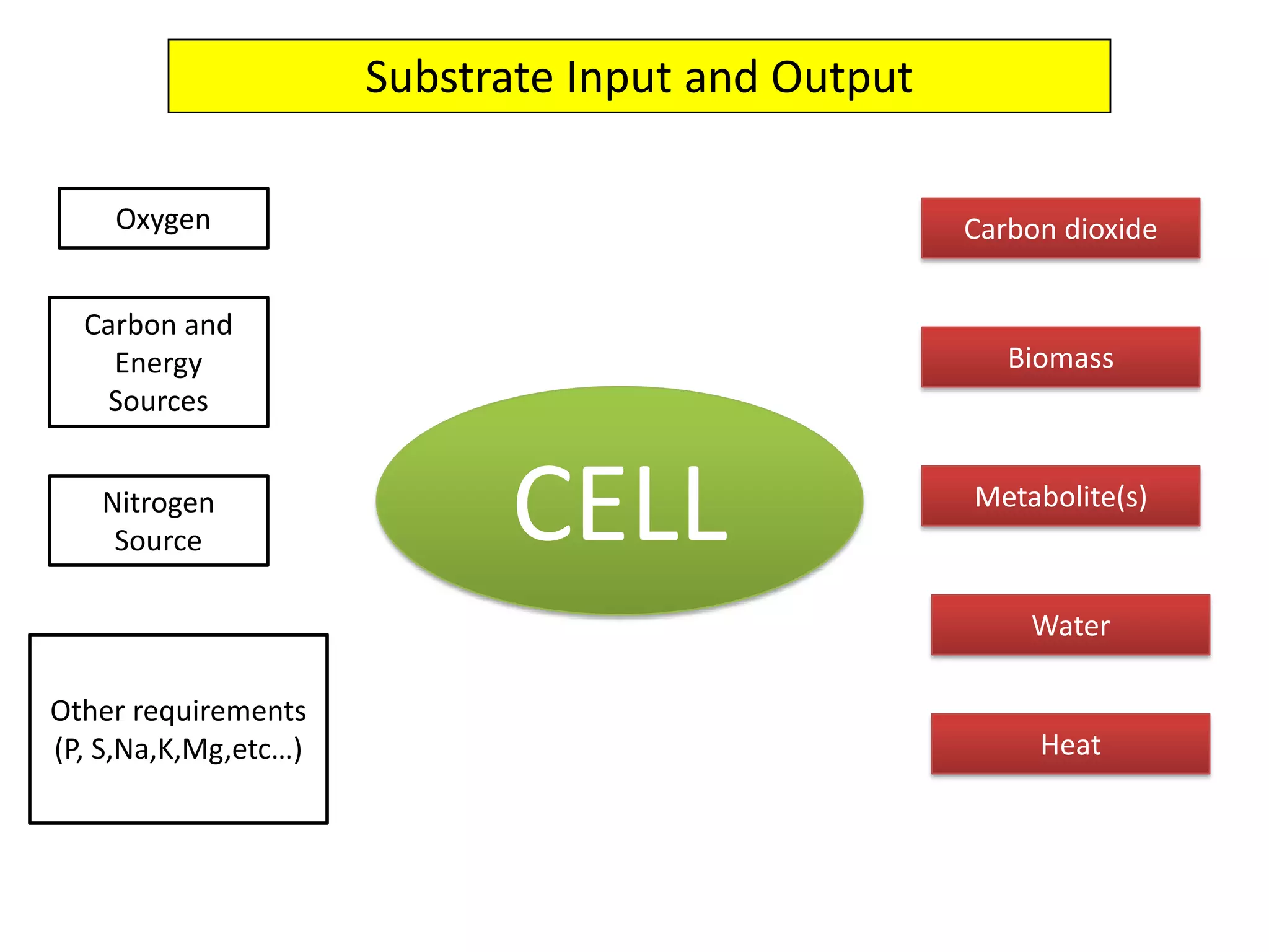 Lecture 2 introduction to bioprocess | PPTX