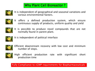 Lecture 2 introduction to bioprocess | PPTX