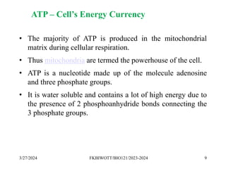 Lecture 2 - MBM 110 .pptx | Chemistry | Science