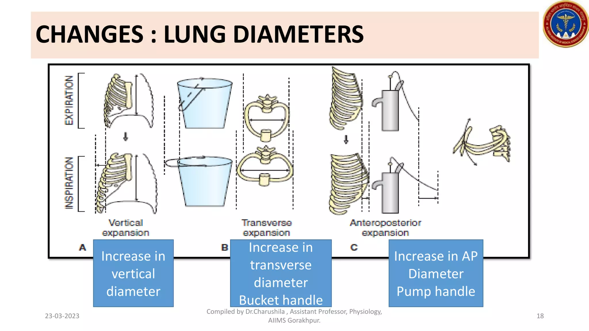 lecture 2/2023-Respiratory Physiology - Mechanics of respiration.pdf | PDF