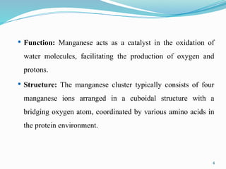 lecture 2- Metals at the Center of Photosynthesis.pptx