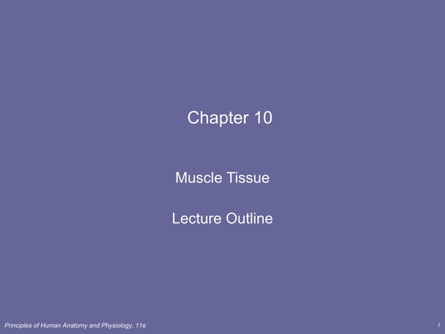 Lecture 2 muscle tissue cont | PPT | Physical Therapy | Wellness