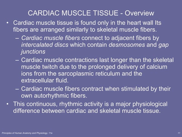 Lecture 2 muscle tissue cont | PPT | Physical Therapy | Wellness