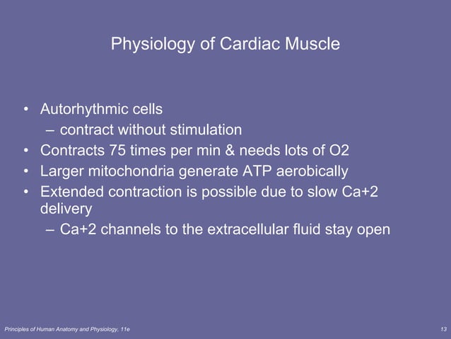 Lecture 2 muscle tissue cont | PPT | Physical Therapy | Wellness