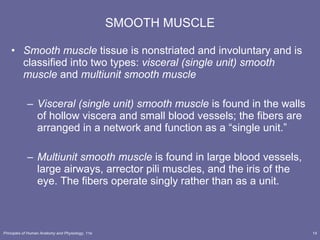 Lecture 2 muscle tissue cont | PPT | Physical Therapy | Wellness