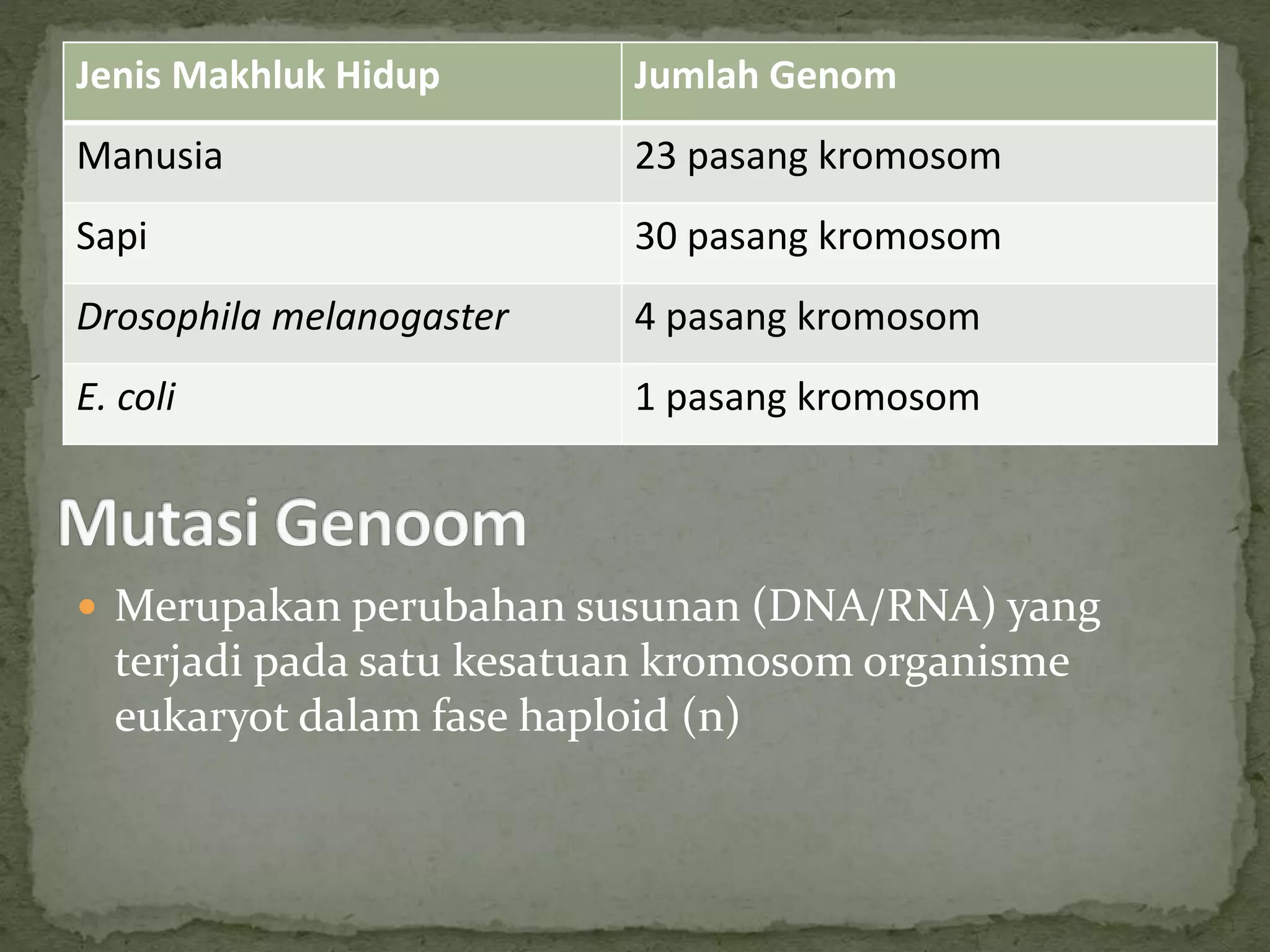 MUTASI pada GENOM | PPTX