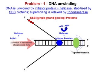 Lecture2 nucleic acid (1) | PPT