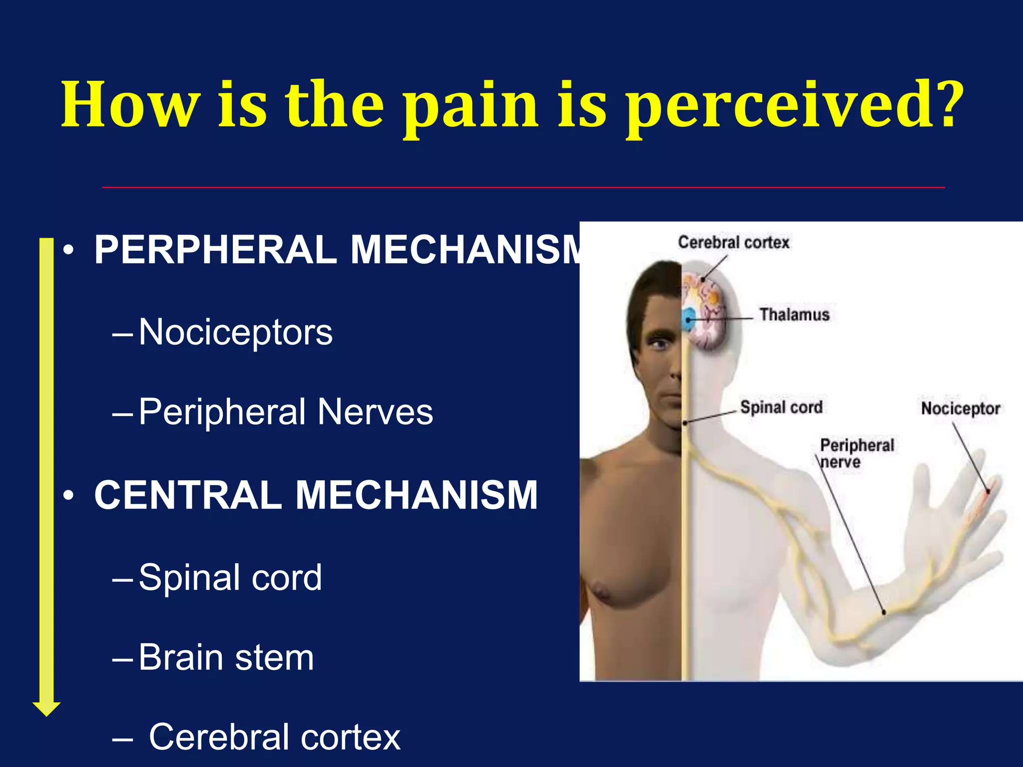 Lecture 2 Electrotherapy- pain physiology | PPTX