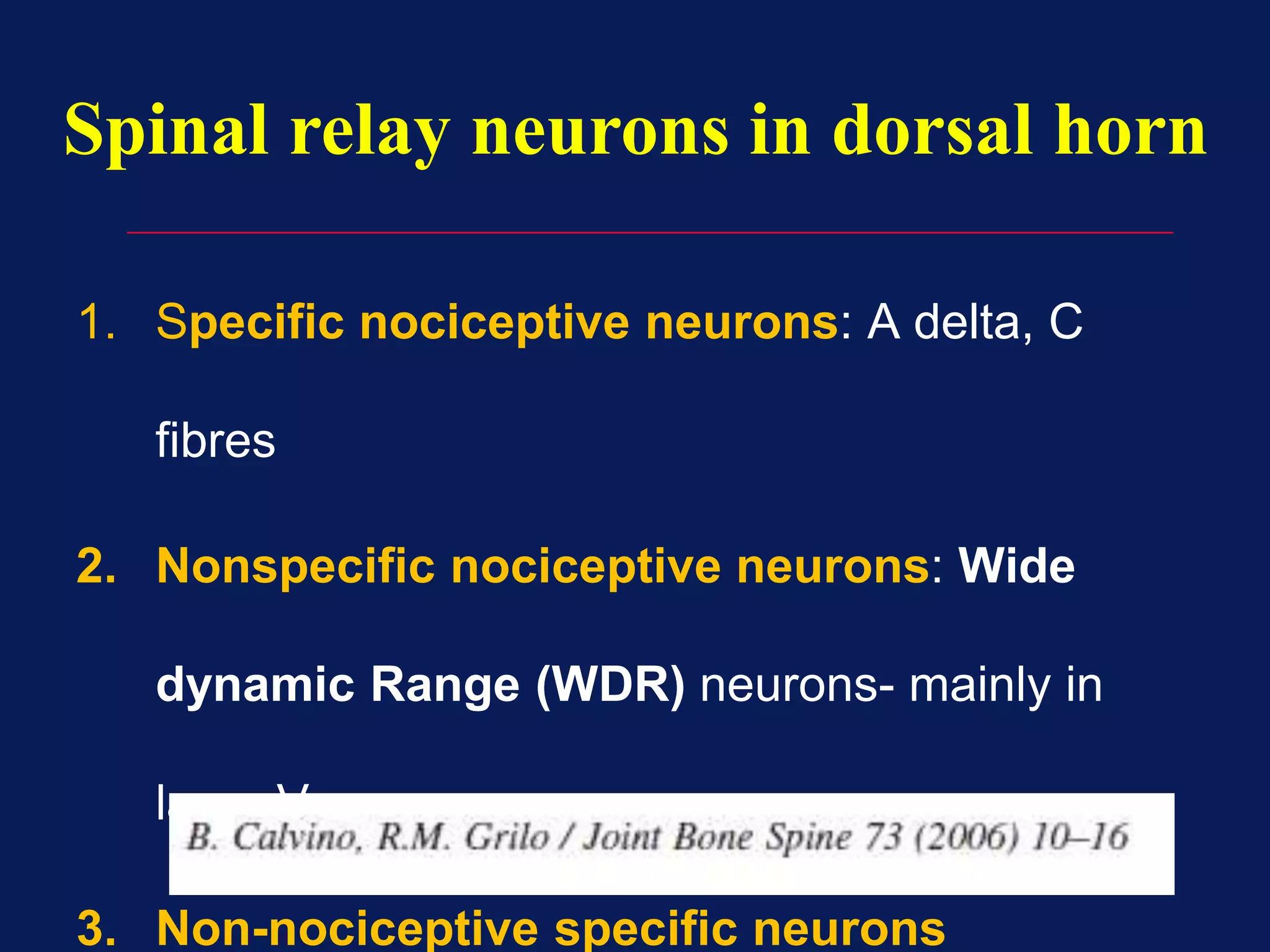 Lecture 2 Electrotherapy- pain physiology | PPTX