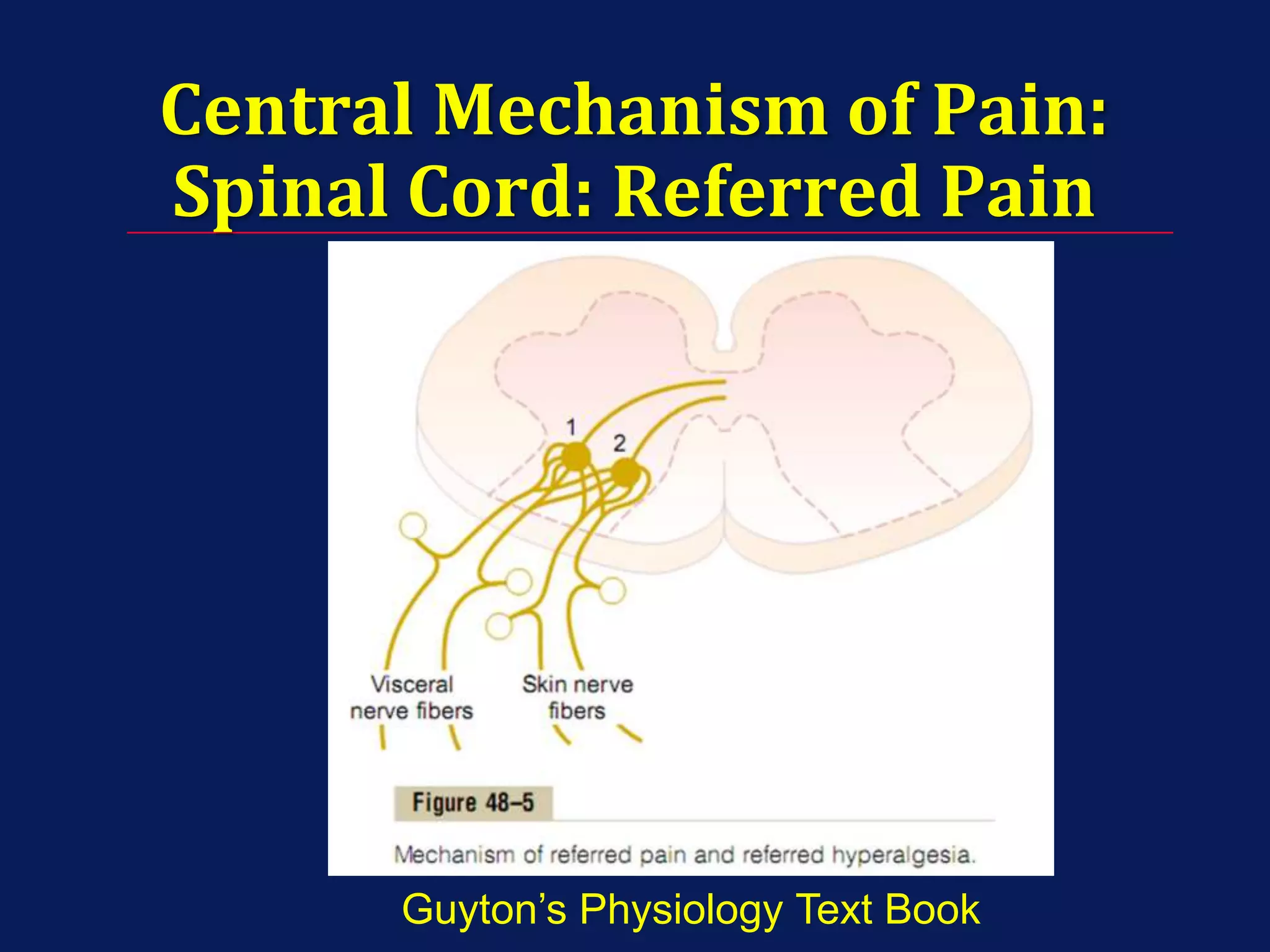 Lecture 2 Electrotherapy- pain physiology | PPTX