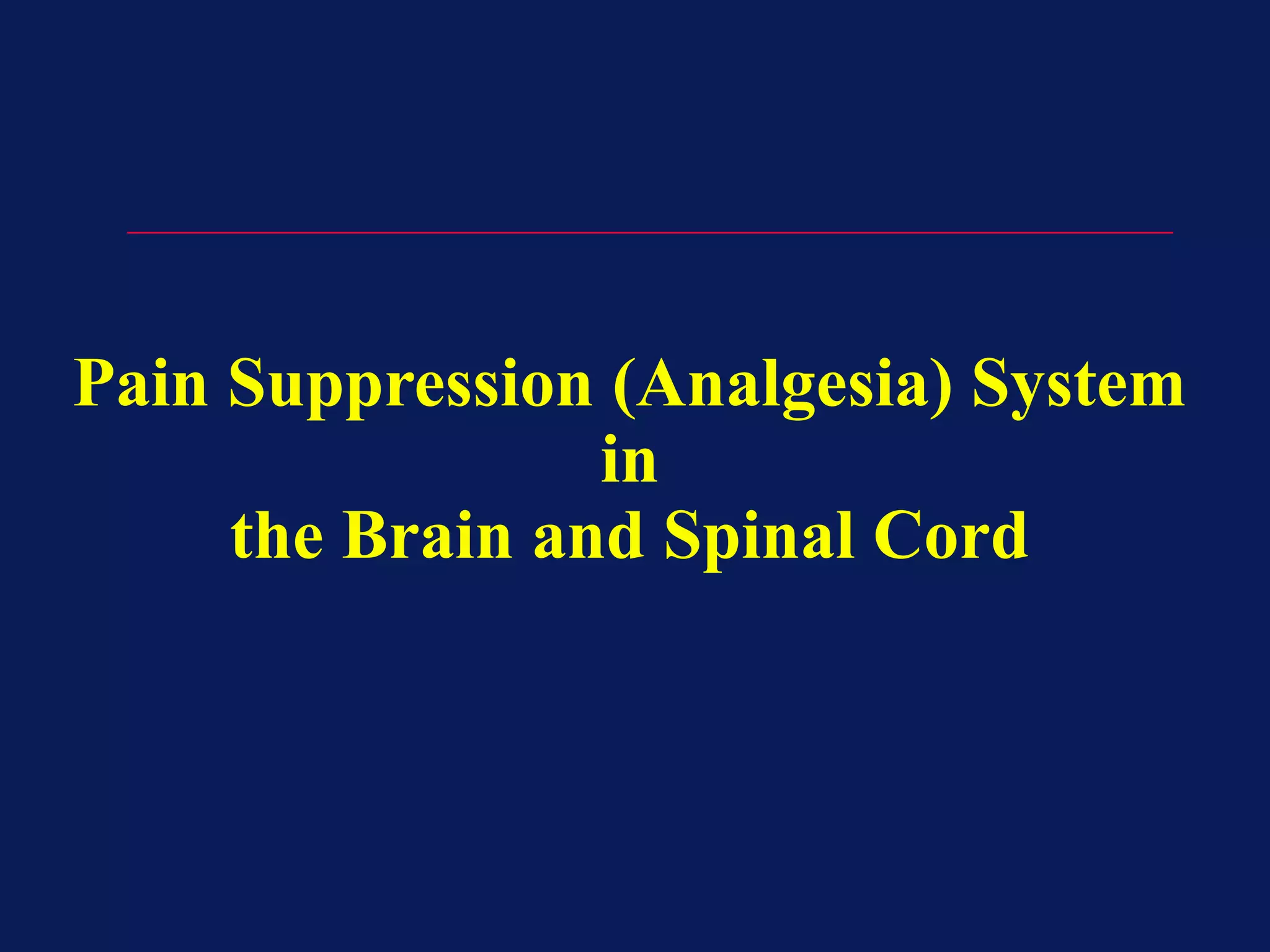 Lecture 2 Electrotherapy- pain physiology | PPTX