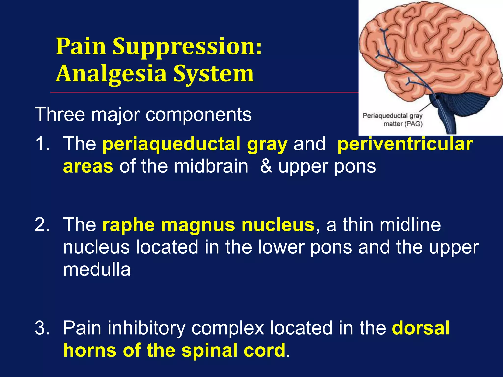 Lecture 2 Electrotherapy- pain physiology | PPTX