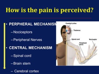 Lecture 2 Electrotherapy- pain physiology | PPTX