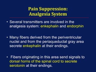 Lecture 2 Electrotherapy- pain physiology | PPTX
