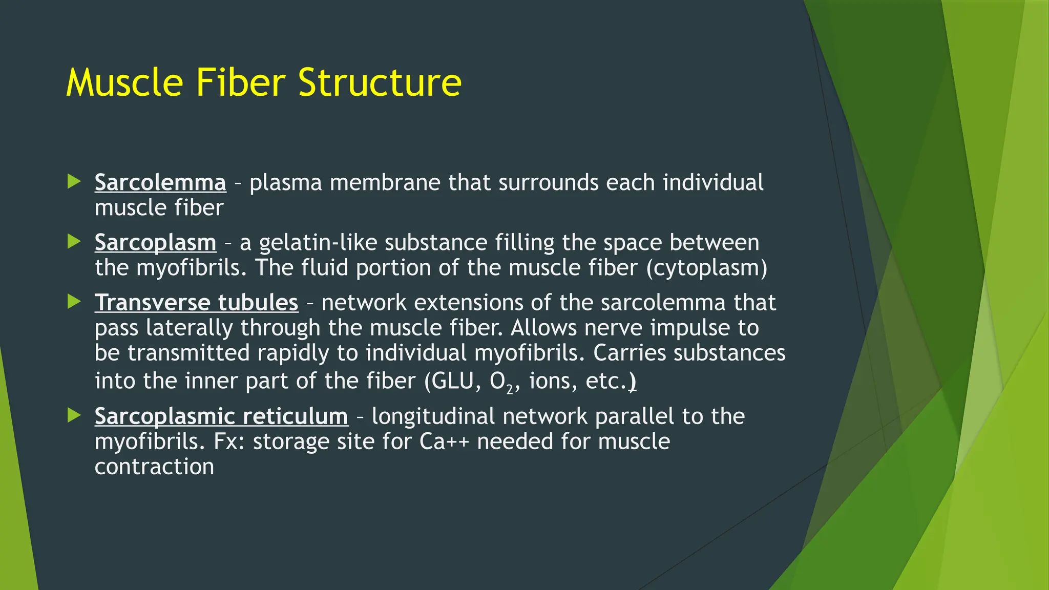 Lecture 2 - Anatomy and Physiology Review.pptx