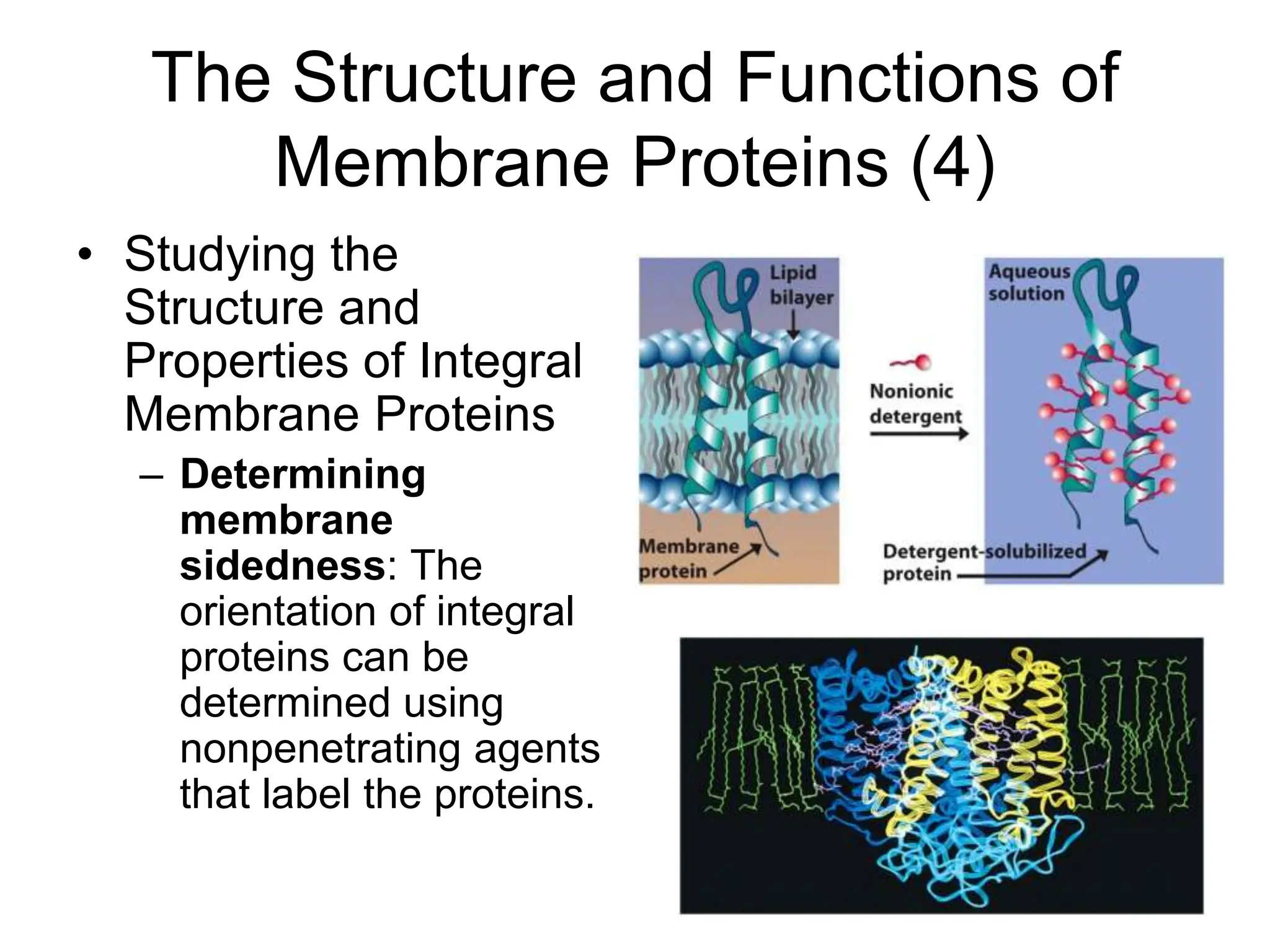 Lecture 2-PM-Cellular Membranes_structure.ppt