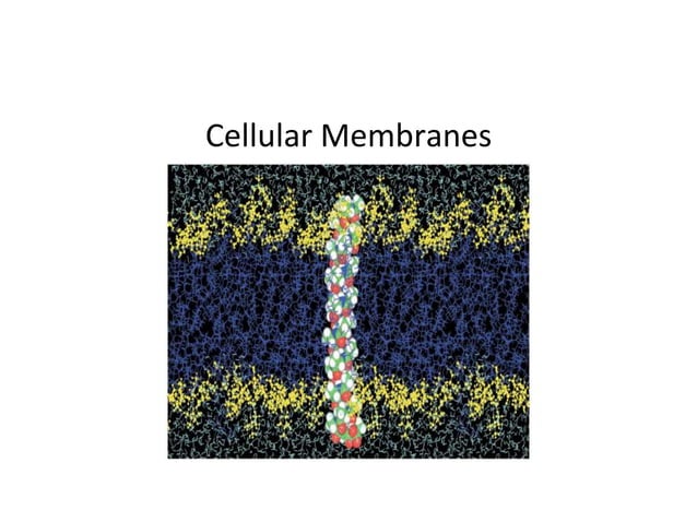 Lecture 2-PM-Cellular Membranes_structure.ppt