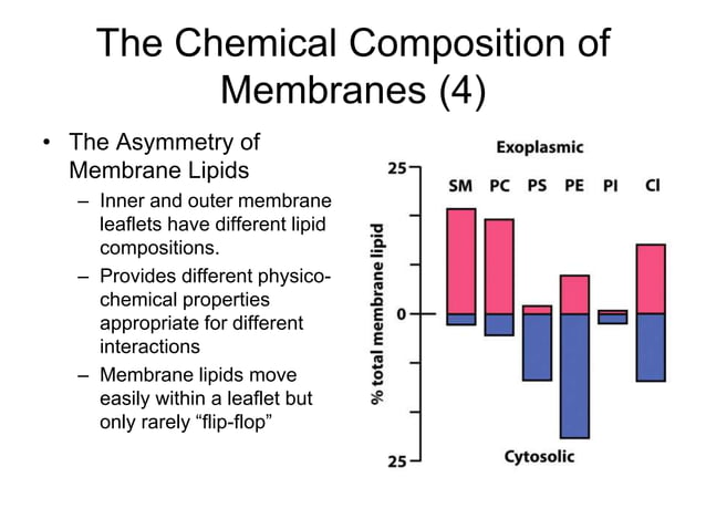 Lecture 2-PM-Cellular Membranes_structure.ppt