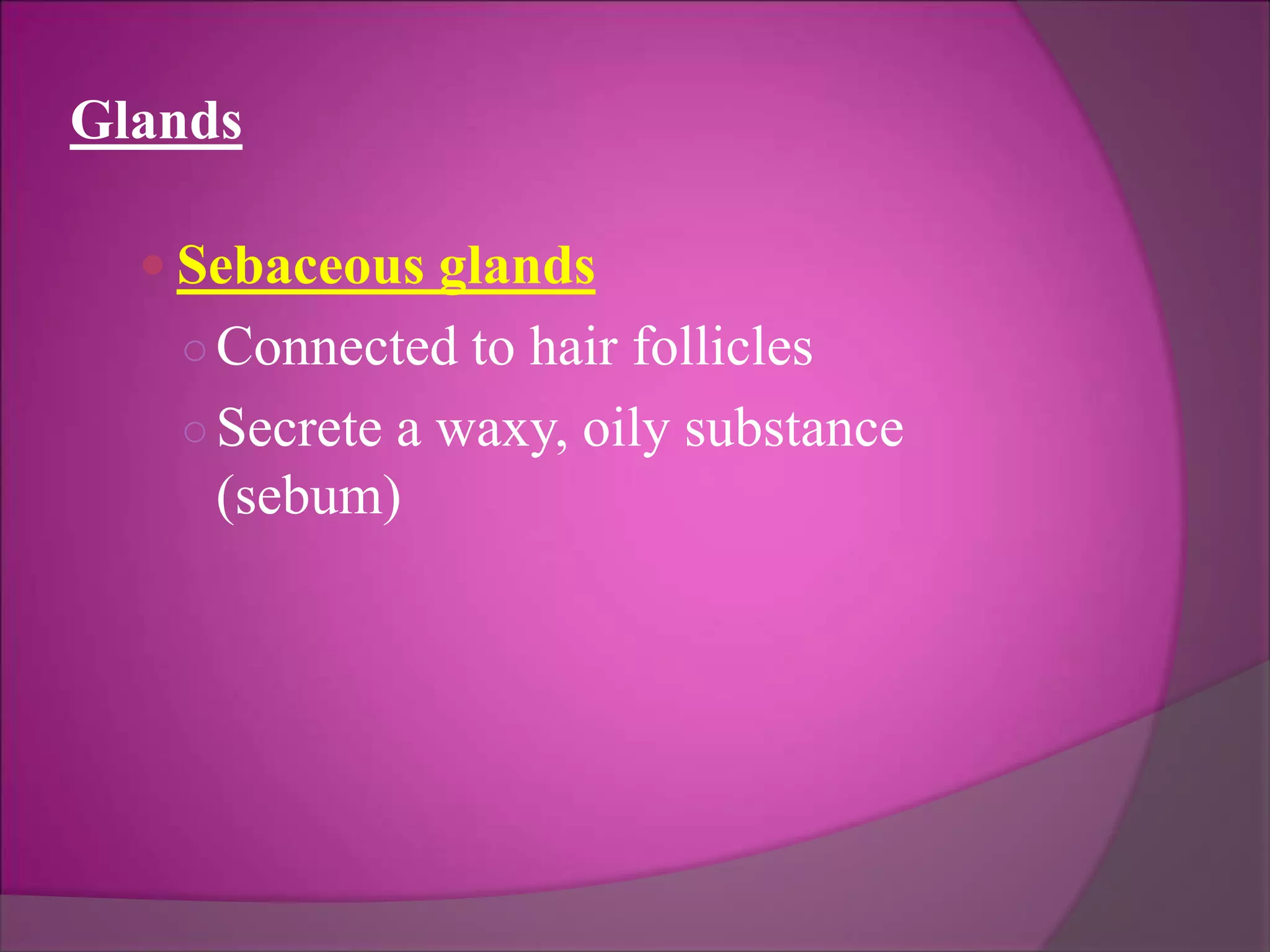 Skin An Essential Organ | PPT