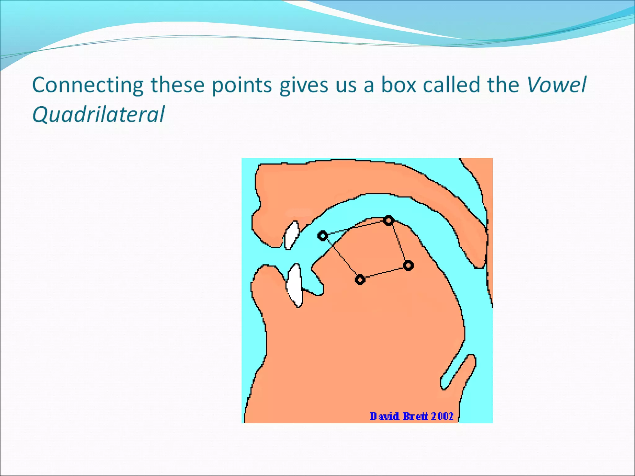 speech articulation and vowels | PPT