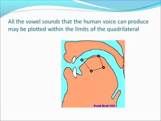 speech articulation and vowels | PPT