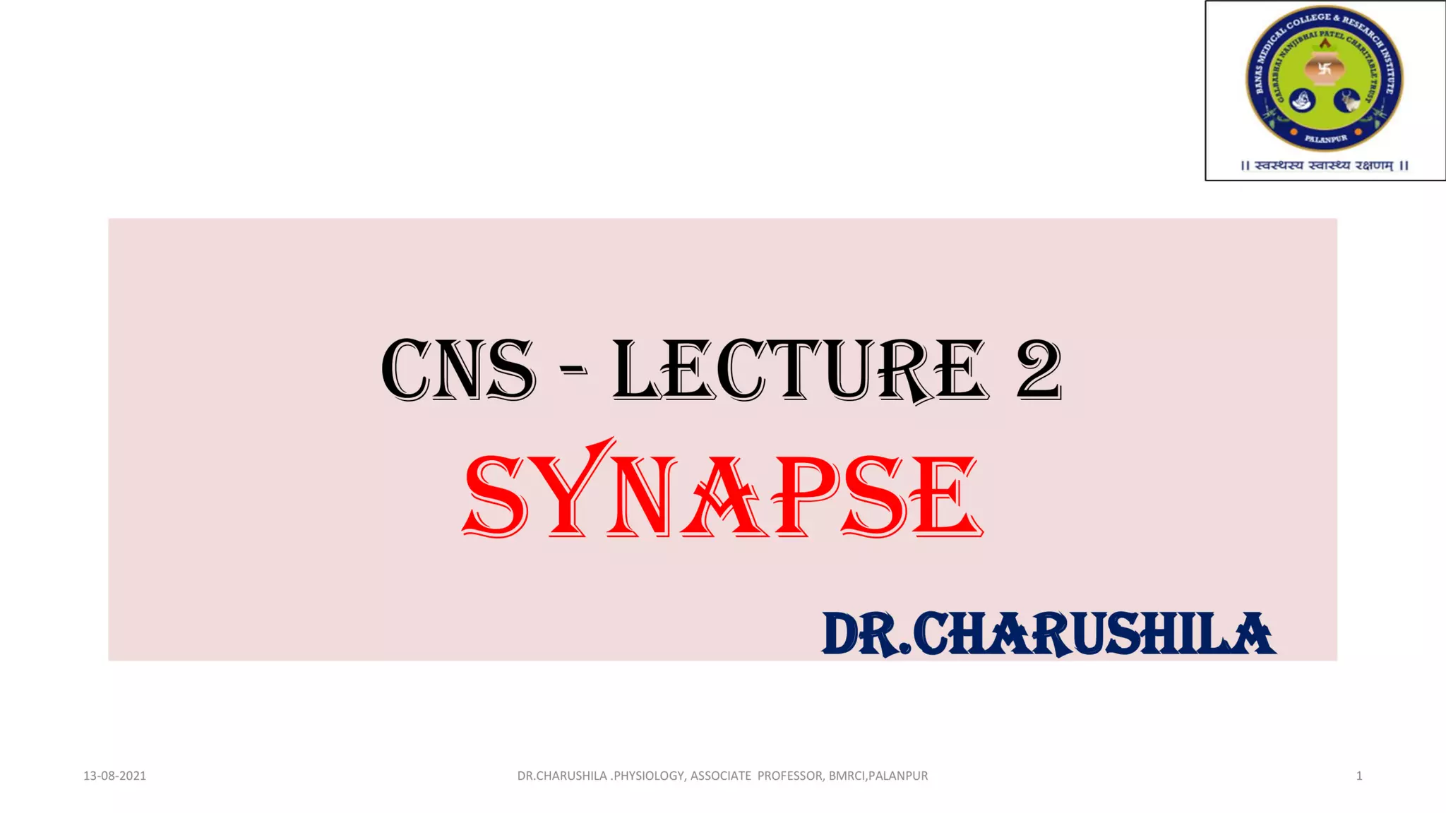 Synapse | PPT
