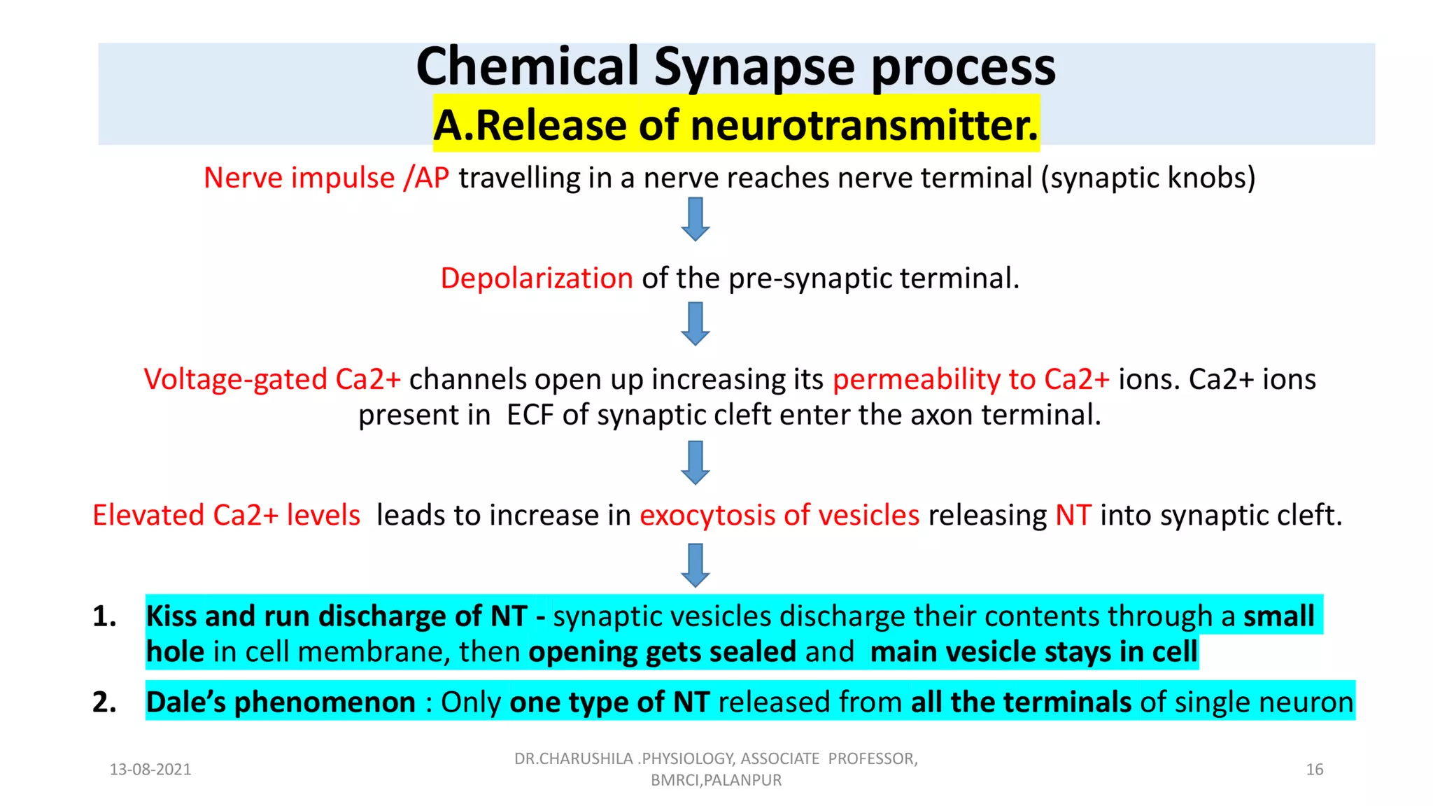 Synapse | PPT